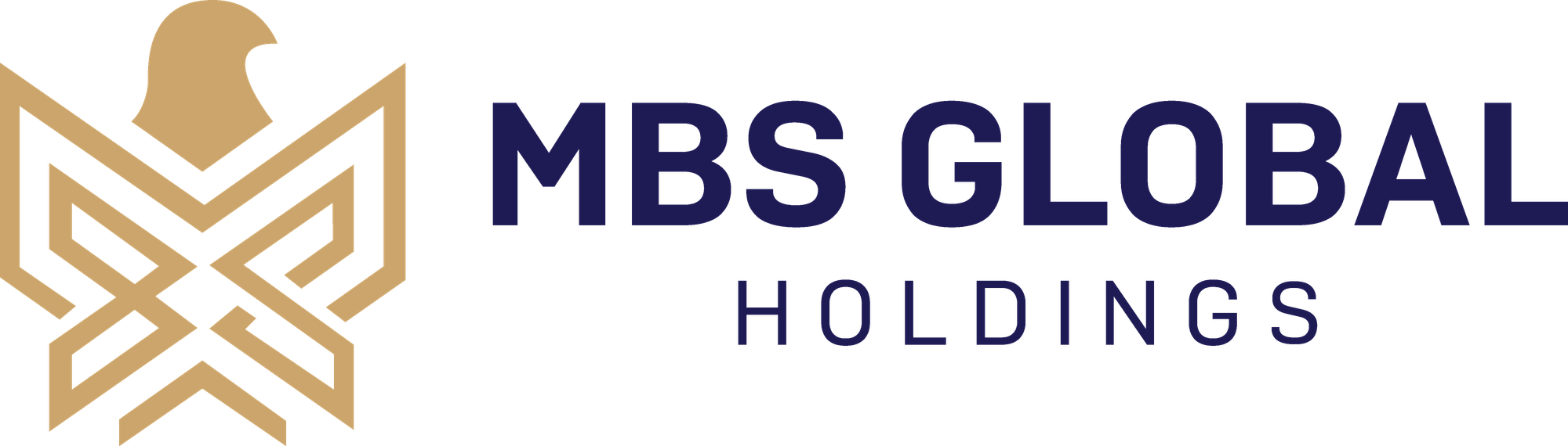 Mbs Consulting